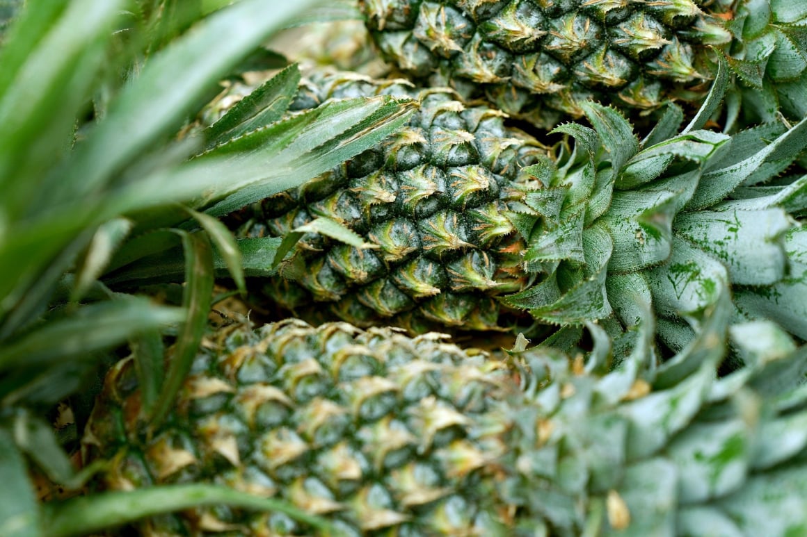 Sage fresh produce software